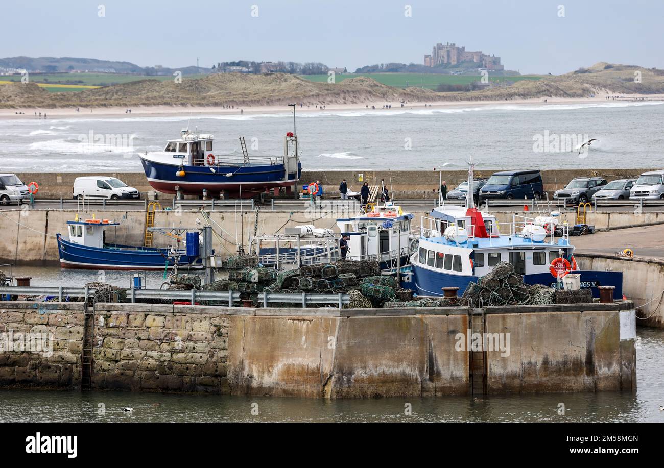 Seahouses,harbour,popular,setting,off,point,for,tourist,boat trips ...