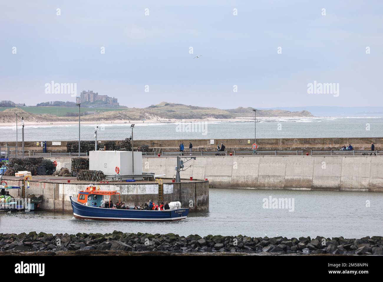 Seahouses,harbour,popular,setting,off,point,for,tourist,boat trips ...