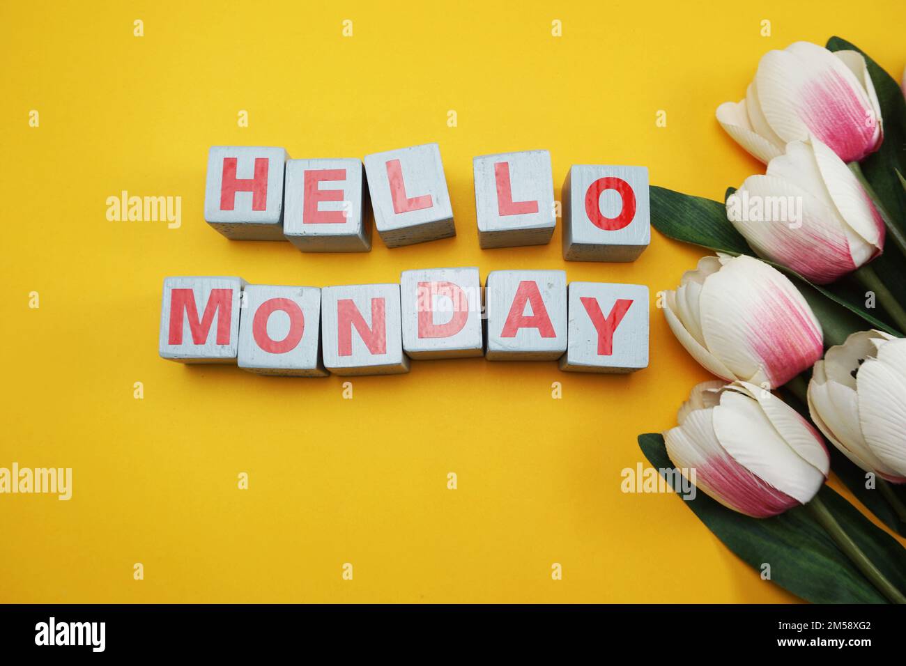 Hello Monday wooden letter alphabet with tulip flower on yellow ...