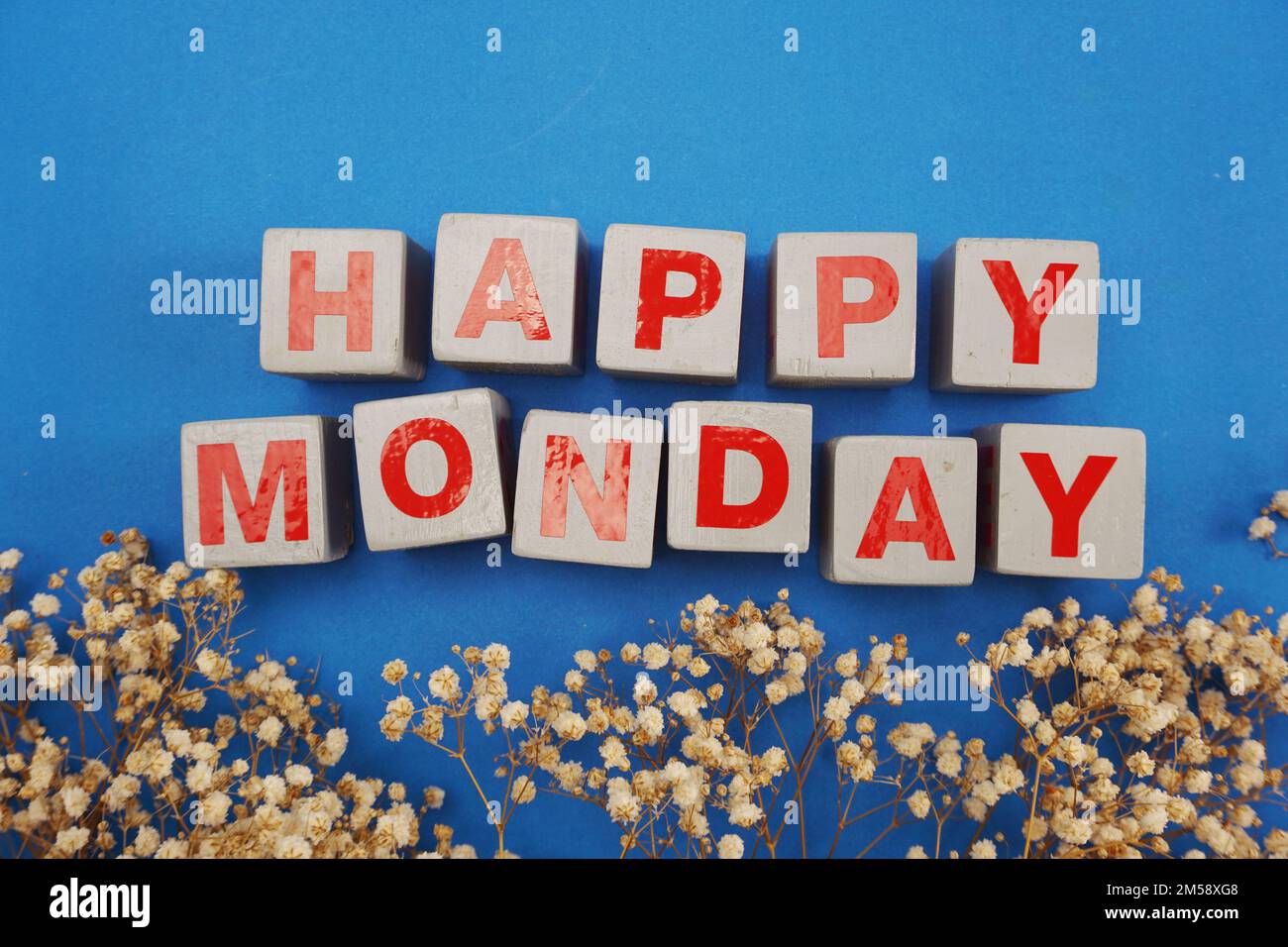 Happy Monday wooden letter alphabet with dried flower on blue ...