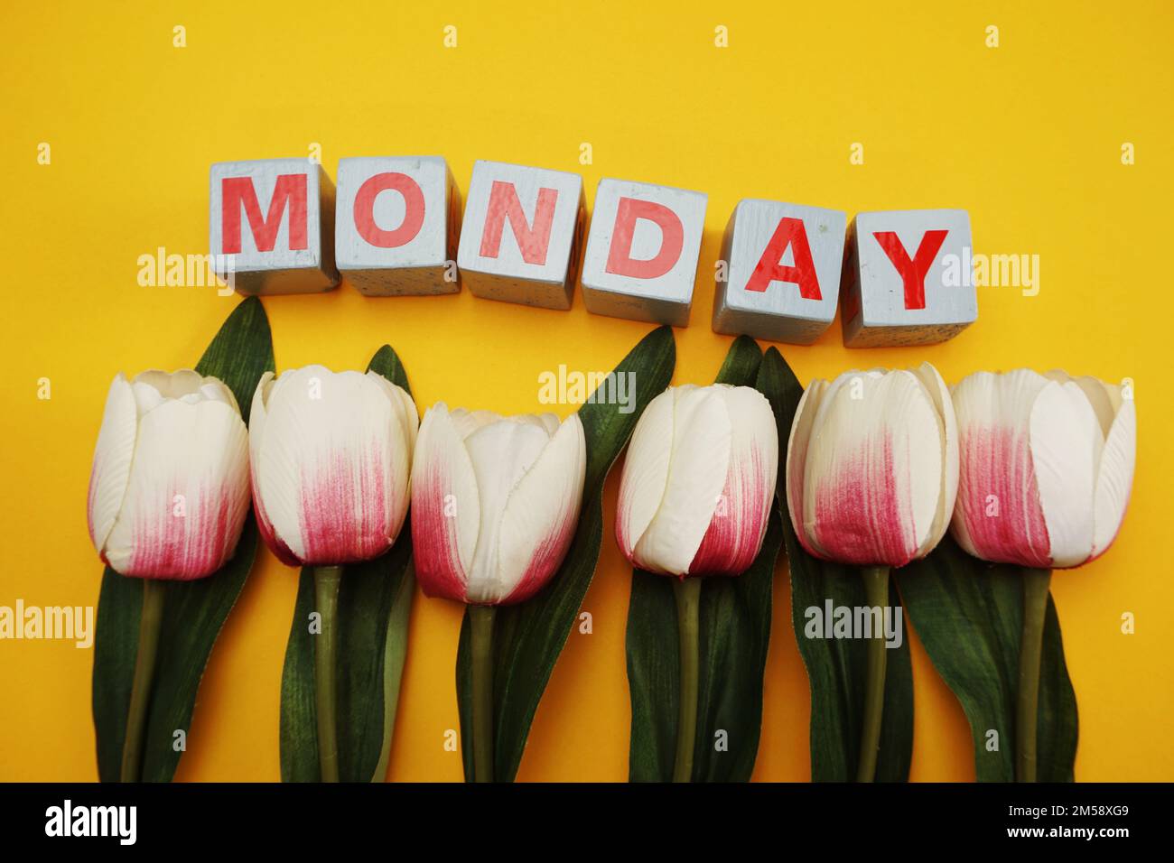 Monday wooden letter alphabet with tulip flower on yellow background ...