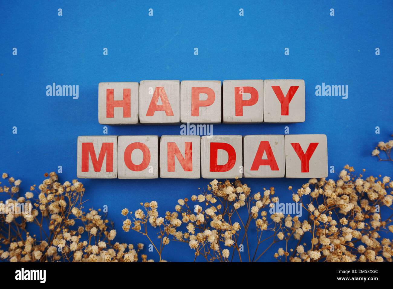 Happy Monday wooden letter alphabet with dried flower on blue ...