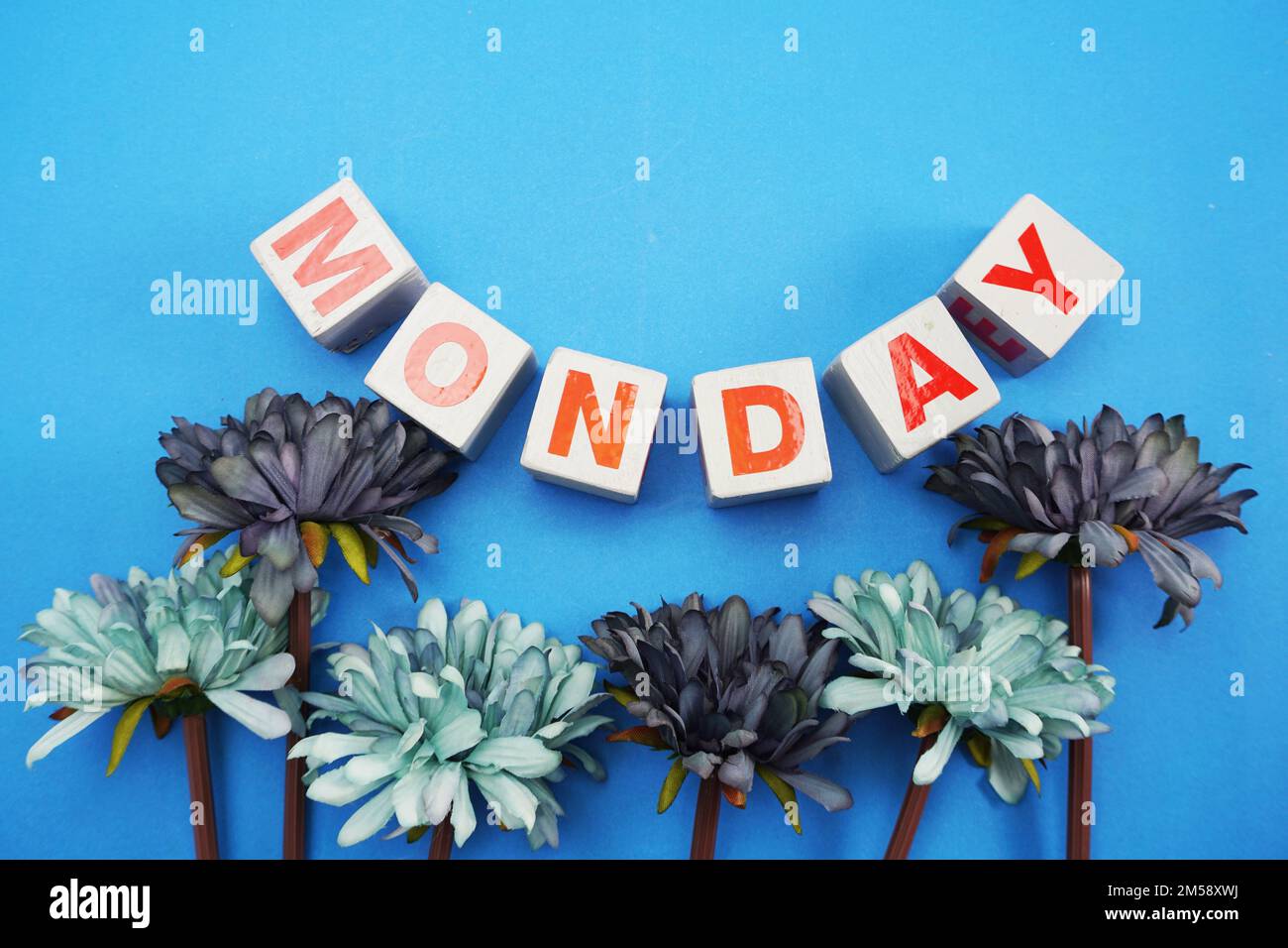 Monday alphabet letters with daisy flower on blue background Stock ...
