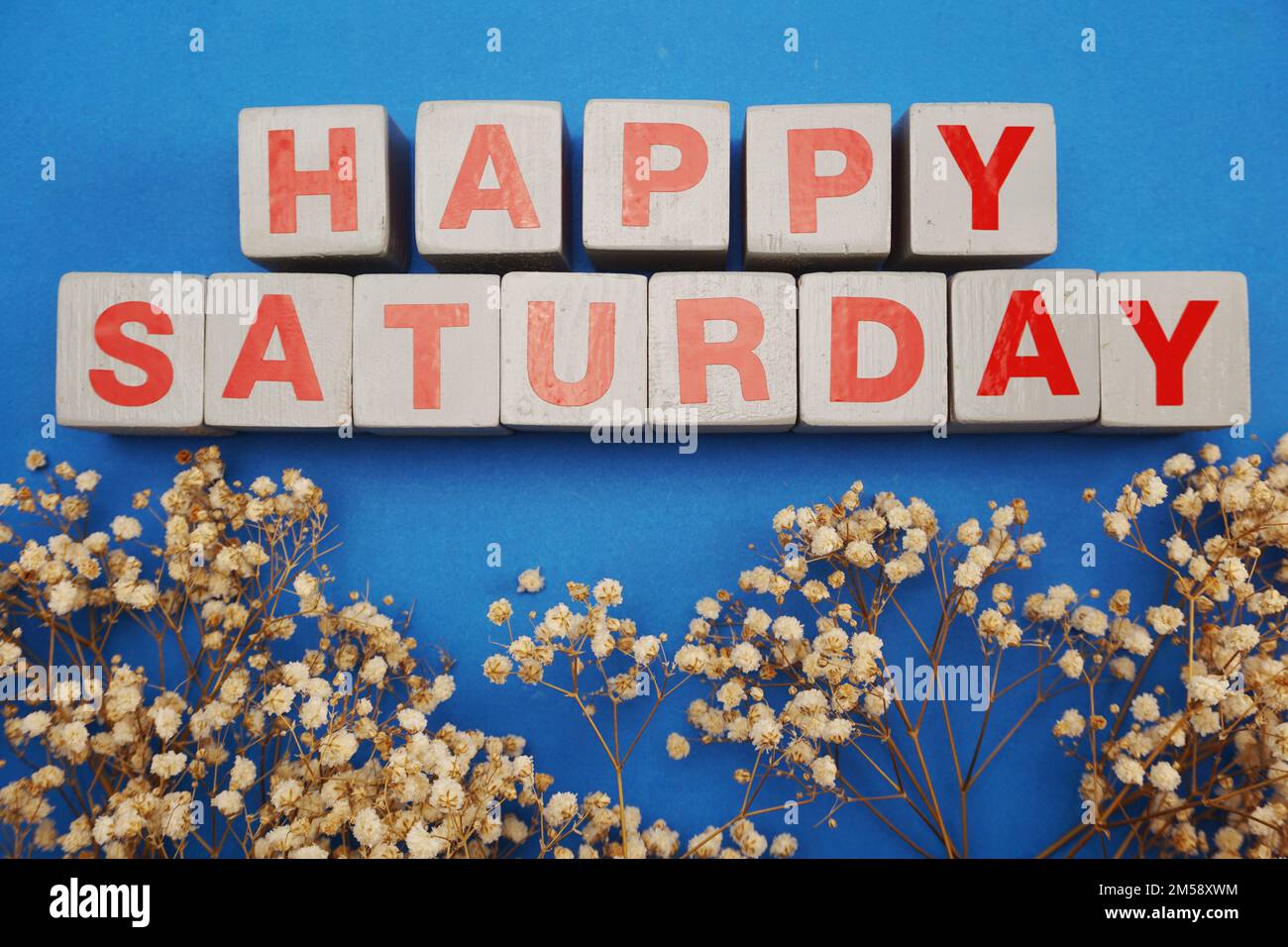 Happy Saturday alphabet letter with dried flower on blue background ...