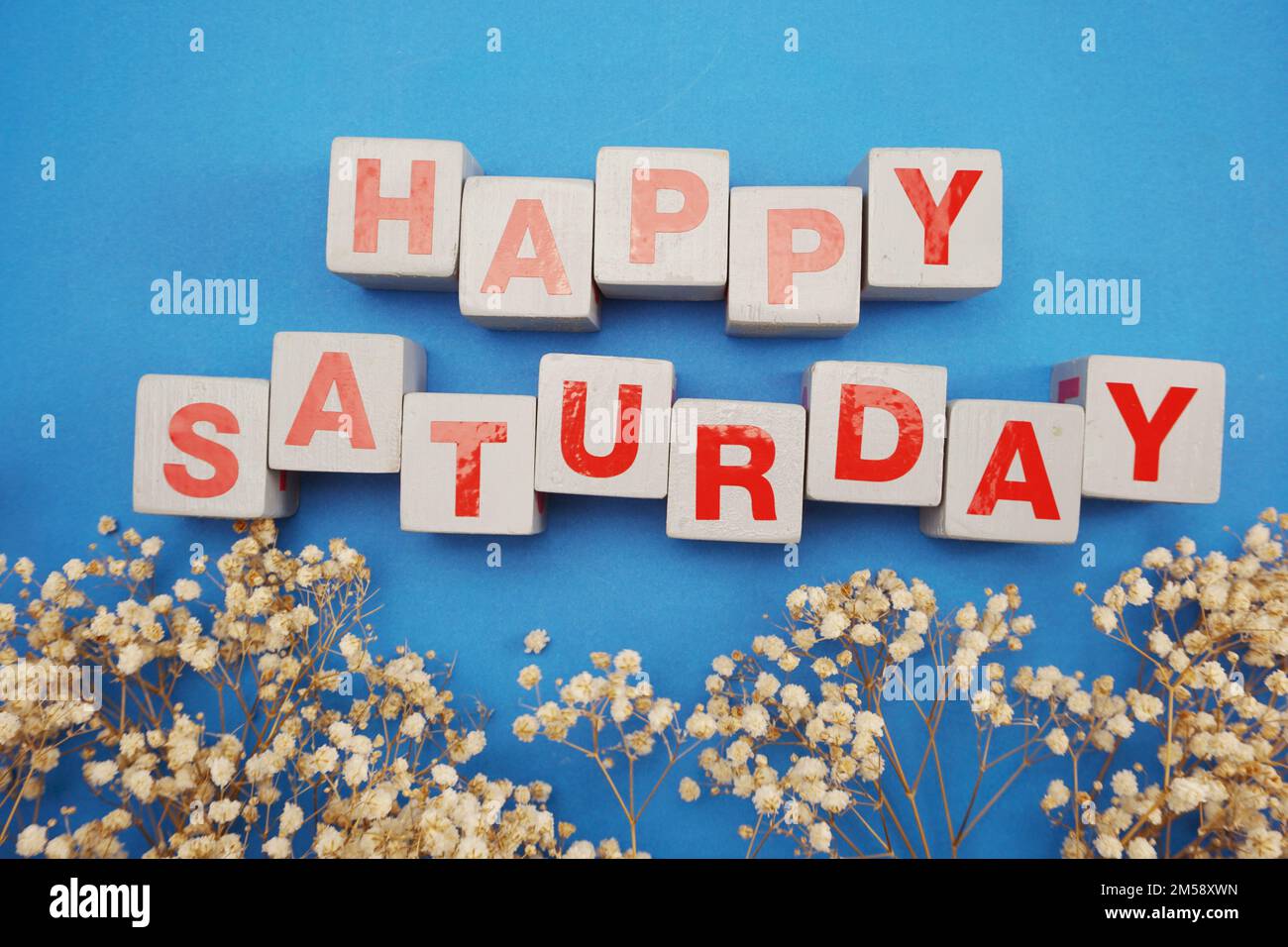 Happy Saturday alphabet letter with dried flower on blue background ...