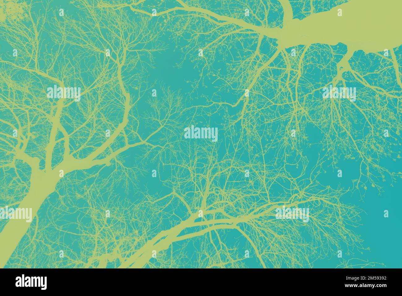 abstract trees branches swapped colors green and yellow Stock Photo - Alamy