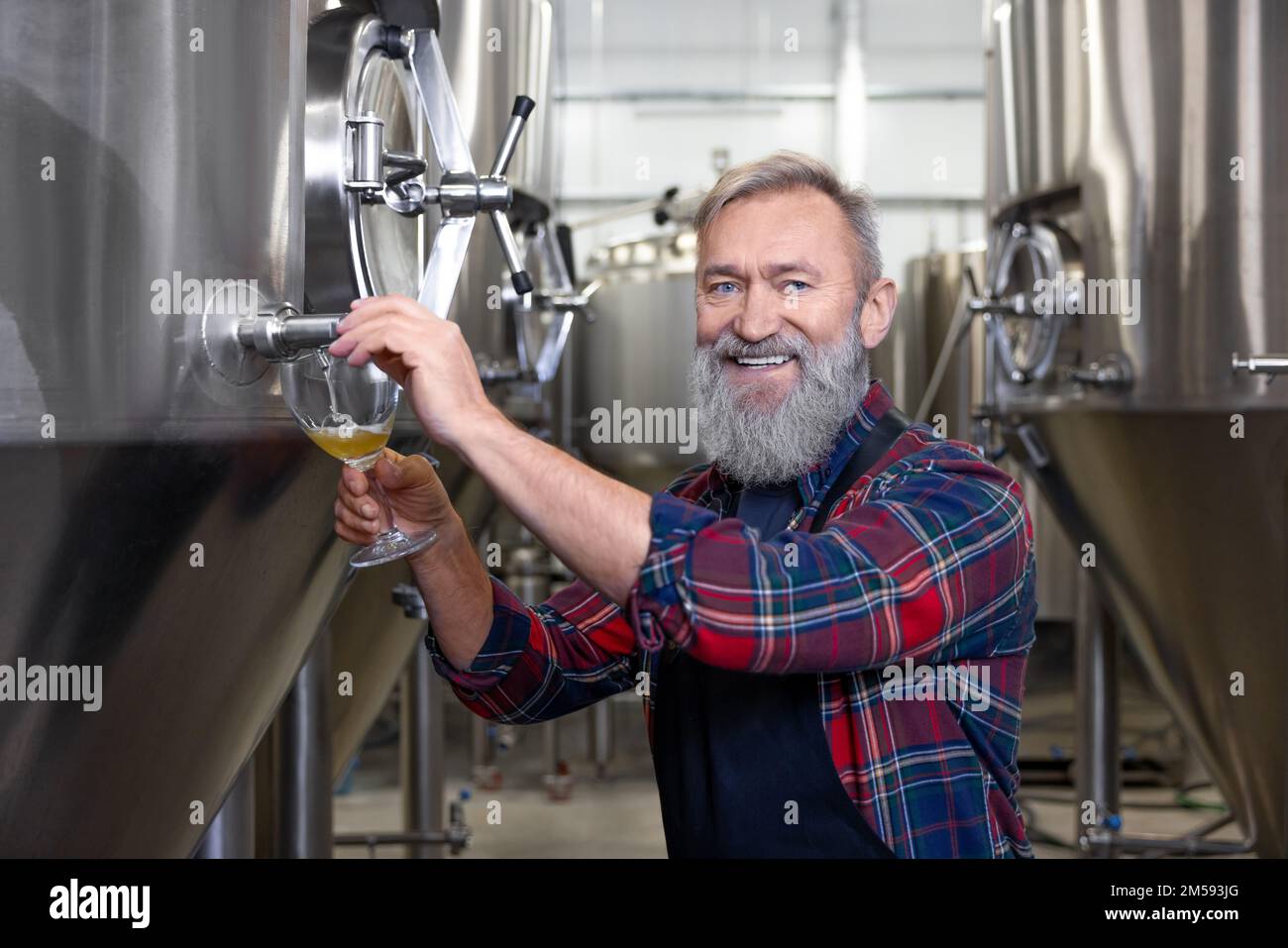 Brewery worker pouring fresh beer into the glass Stock Photo - Alamy