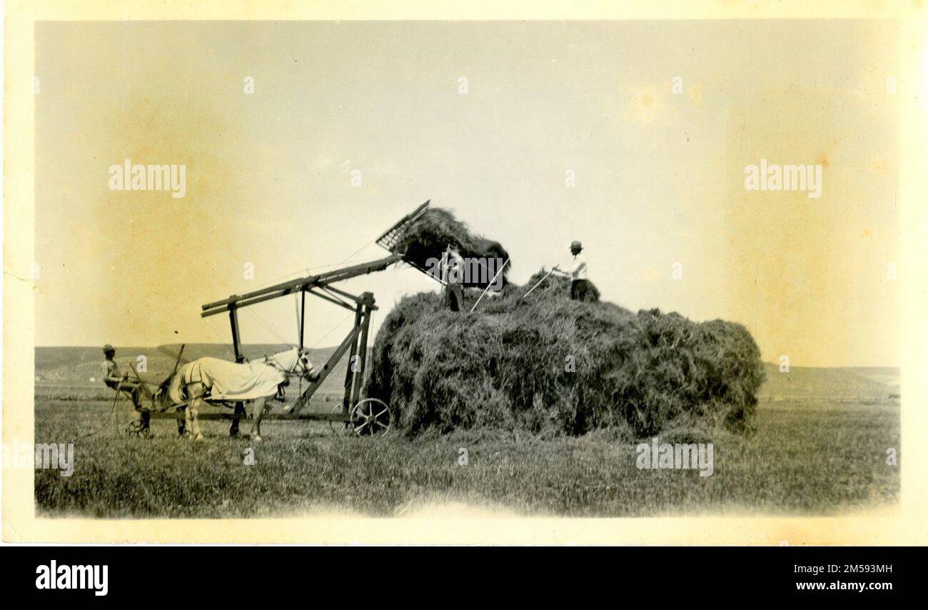 Hay stacker hi-res stock photography and images - Alamy