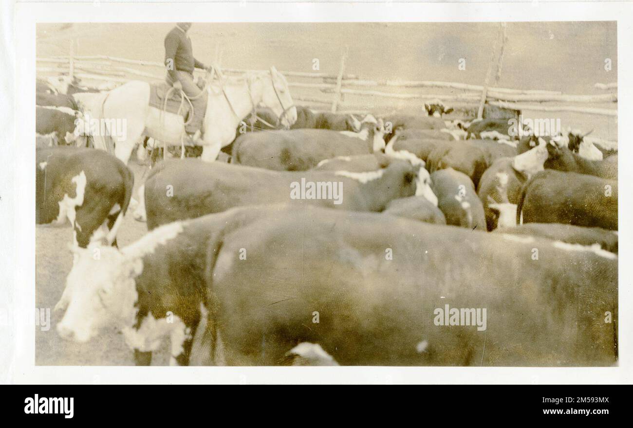 Fort berthold indian reservation hi-res stock photography and images ...