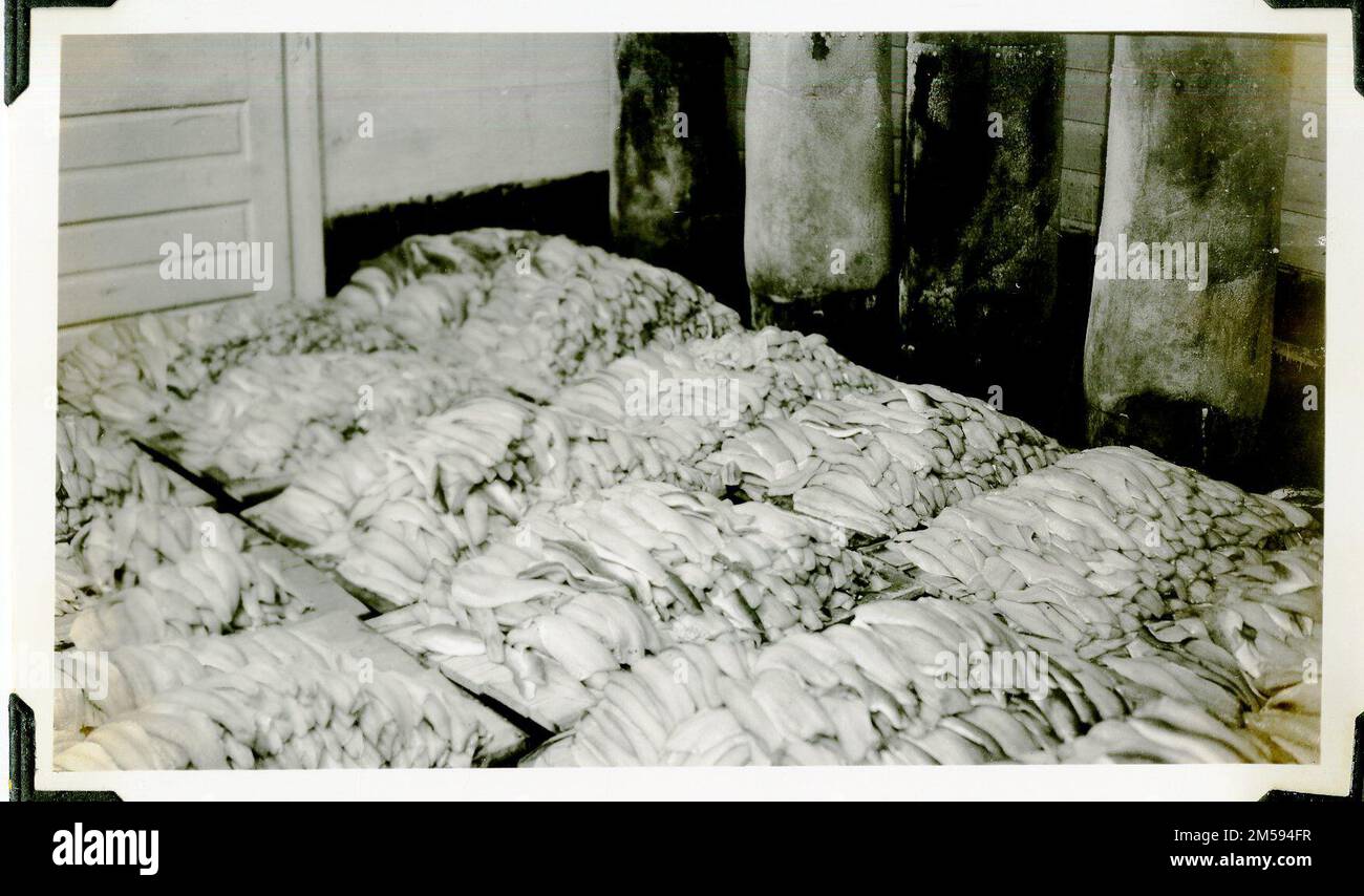 Pike central hi-res stock photography and images - Alamy