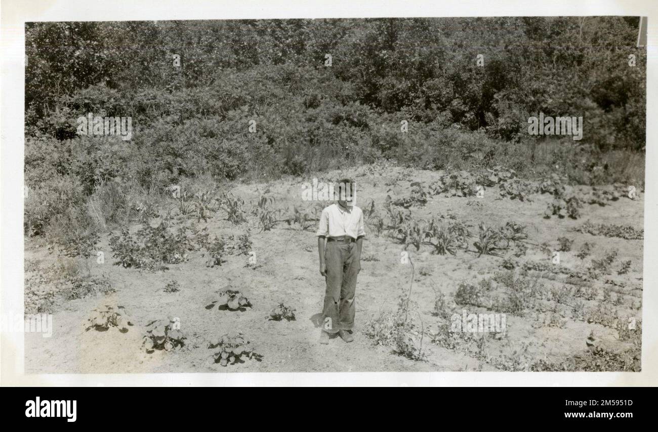 Maurice clark hi-res stock photography and images - Alamy