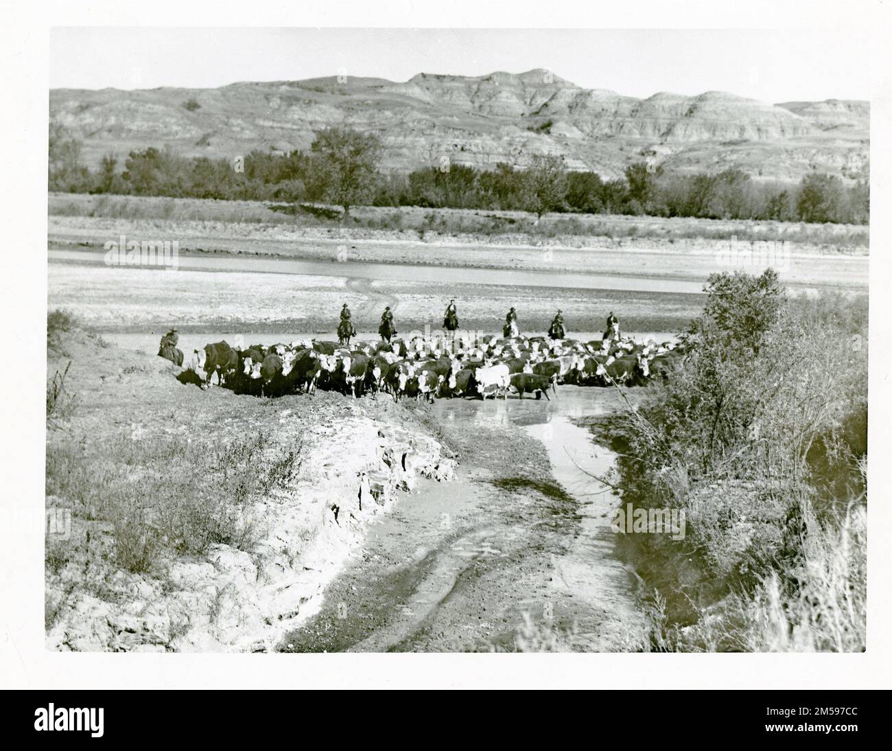 1900 office interior hi-res stock photography and images - Alamy