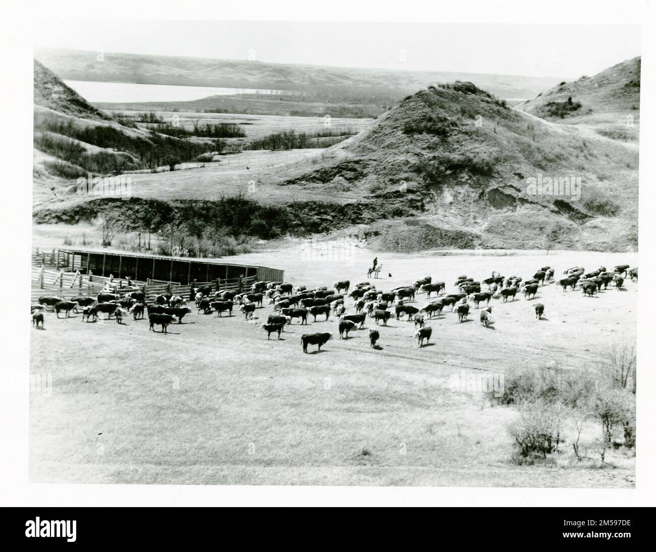 City lands Cut Out Stock Images & Pictures - Alamy