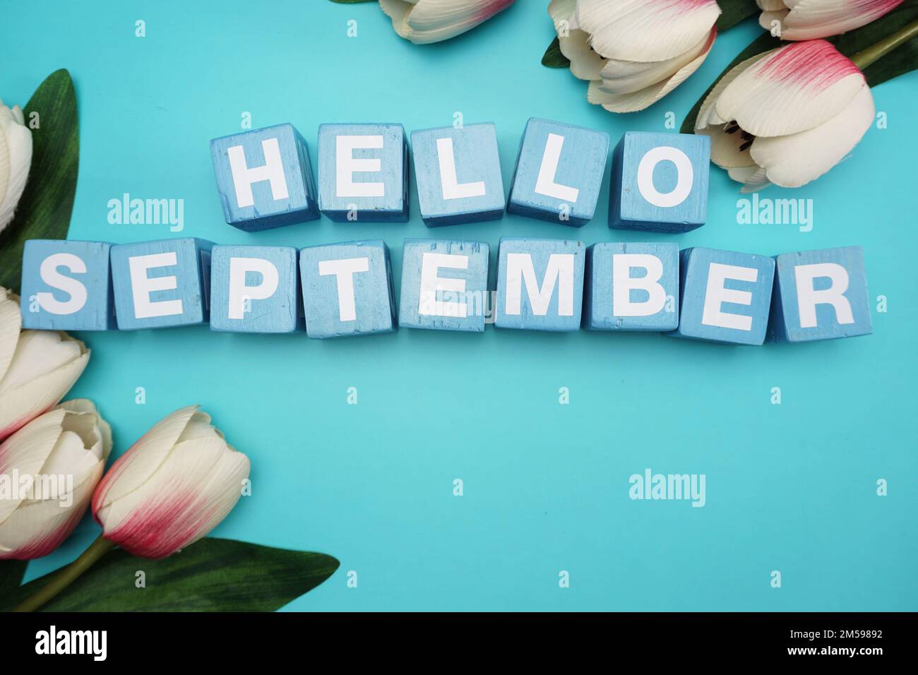 hello september alphabet letters with flower bouquet on blue background ...