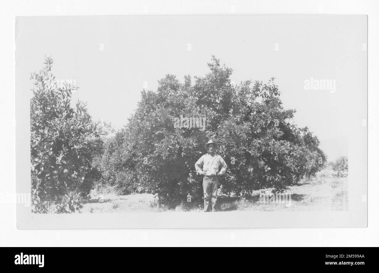 Seven pacific Black and White Stock Photos & Images - Alamy