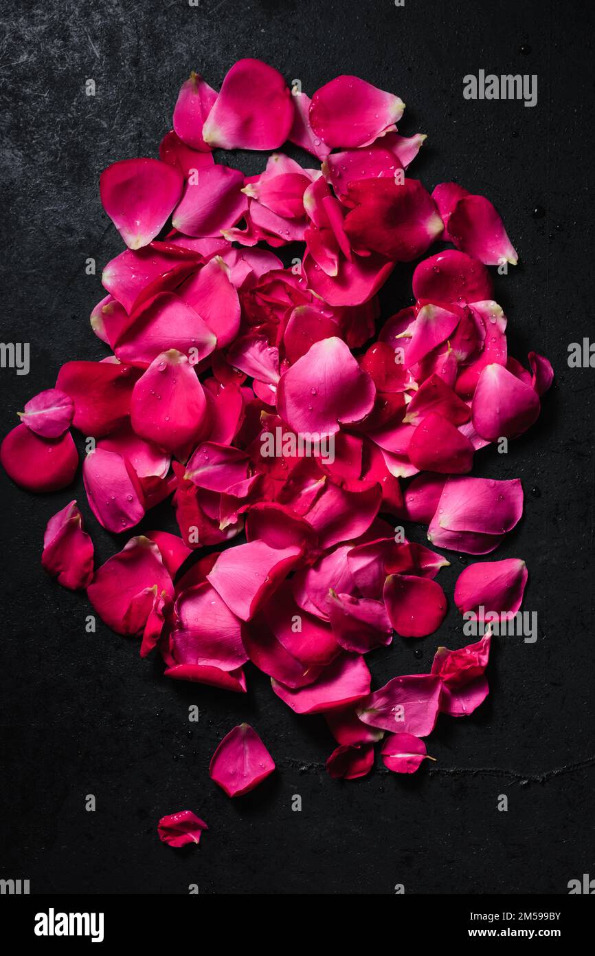 Red rose petals on a black background Stock Photo - Alamy