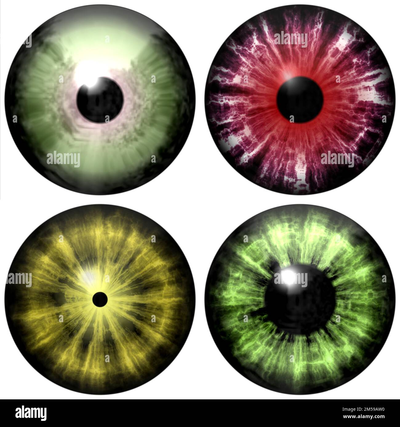 Set of isolated human and animal eyes. Big eye with striped colorful ...