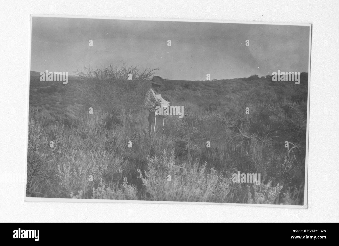 Farming california 1930s hi-res stock photography and images - Alamy