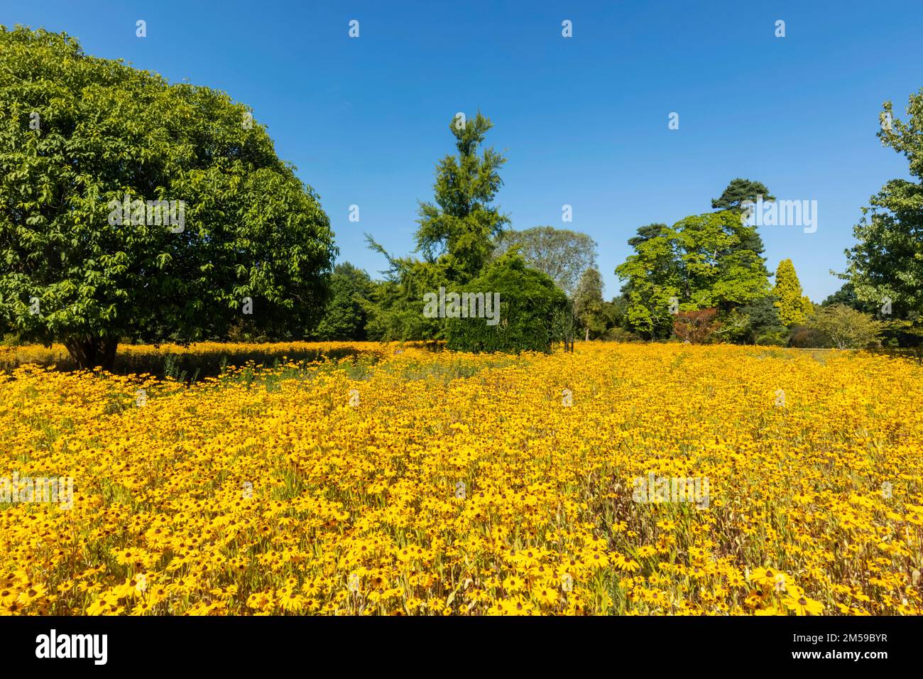 Wakehurst gardens sussex england hi-res stock photography and images ...
