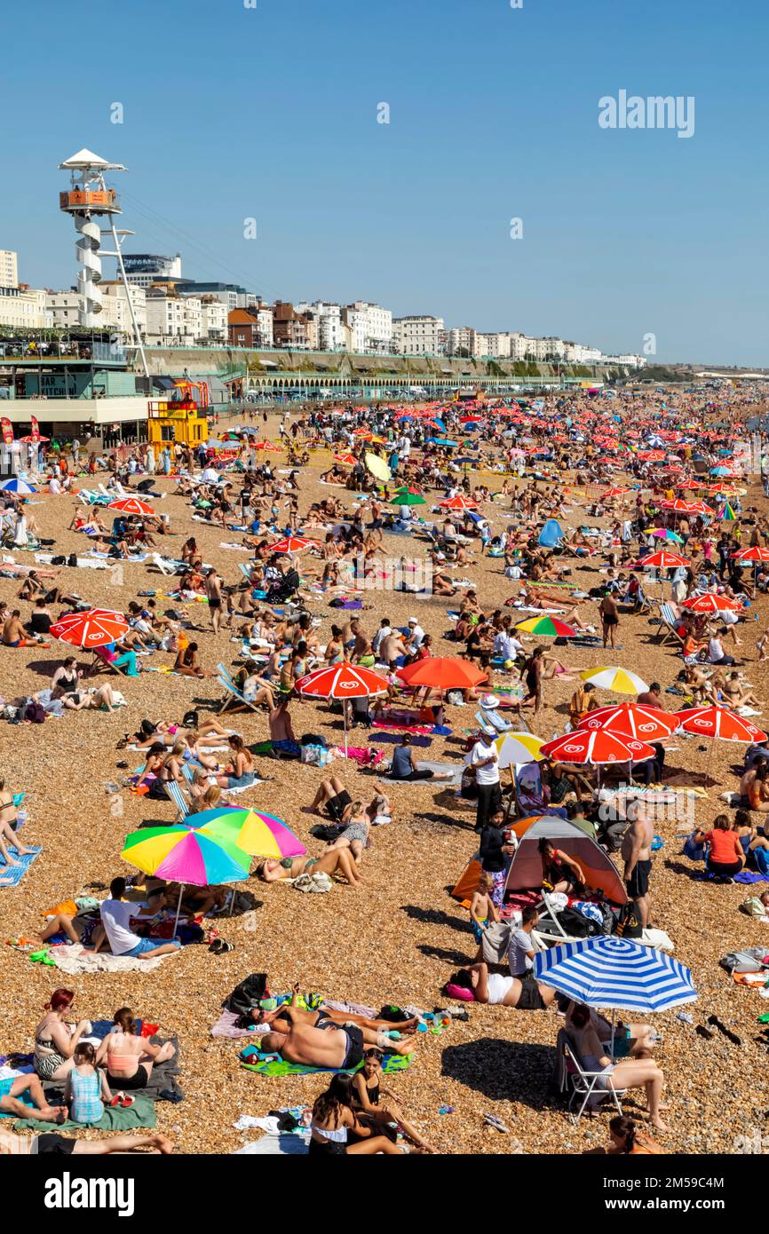 England, East Sussex, Brighton, Brighton Beach *** Local Caption *** UK ...