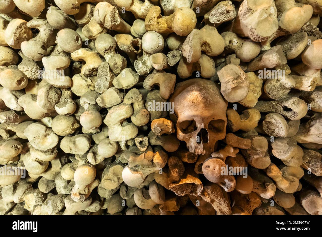 England, Kent, Hythe, St.Leonard's Church, Human Bones in The Crypt ...
