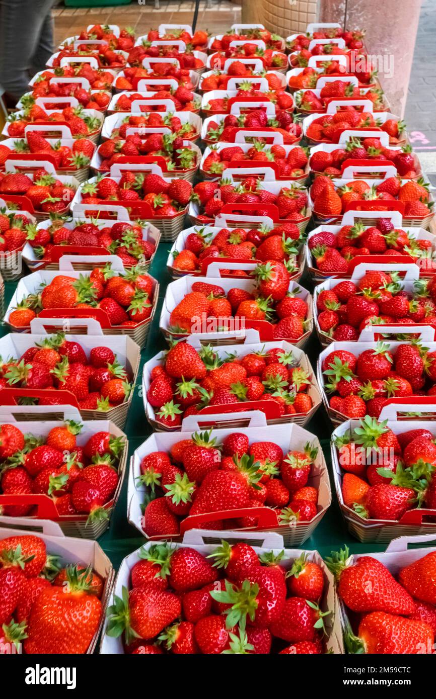 France, French Riviera, Cote d'Azur, Cannes, Forville Market, Fruit ...