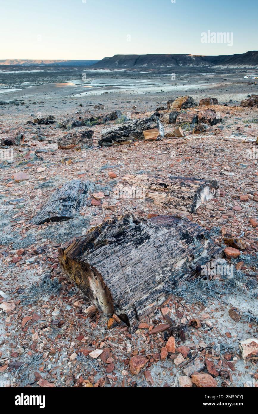 Jaramillio hi-res stock photography and images - Alamy