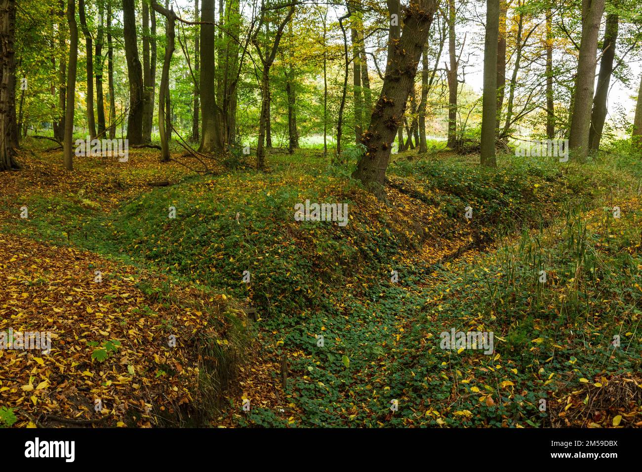 Brockhusen castle hi-res stock photography and images - Alamy