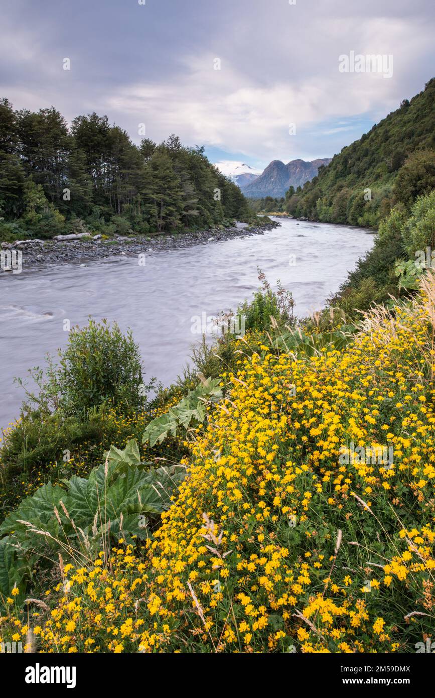 Im Pumalin Nationalpark an der Carretera Austral im Süden von Chile ...