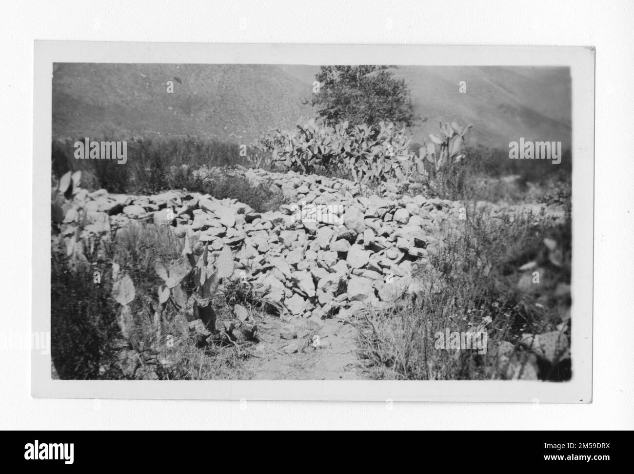 Erosion control dam hi-res stock photography and images - Alamy