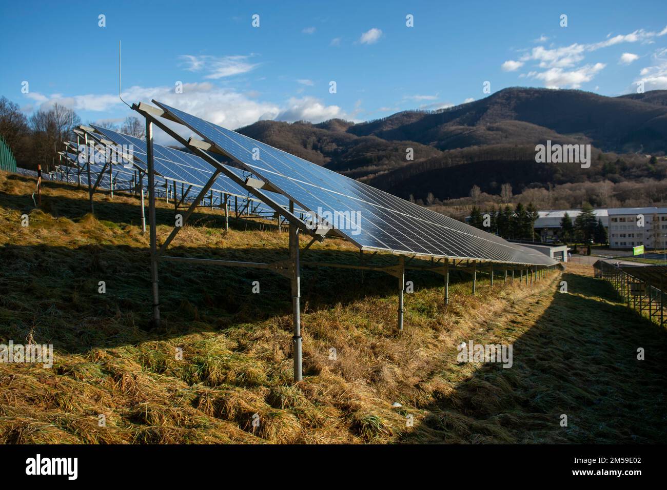 A solar photovoltaic power plant in the field near the forest Stock ...