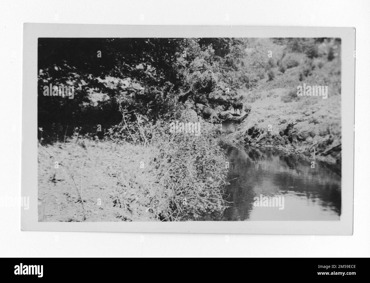 Reservoir stock photographs Black and White Stock Photos & Images - Alamy