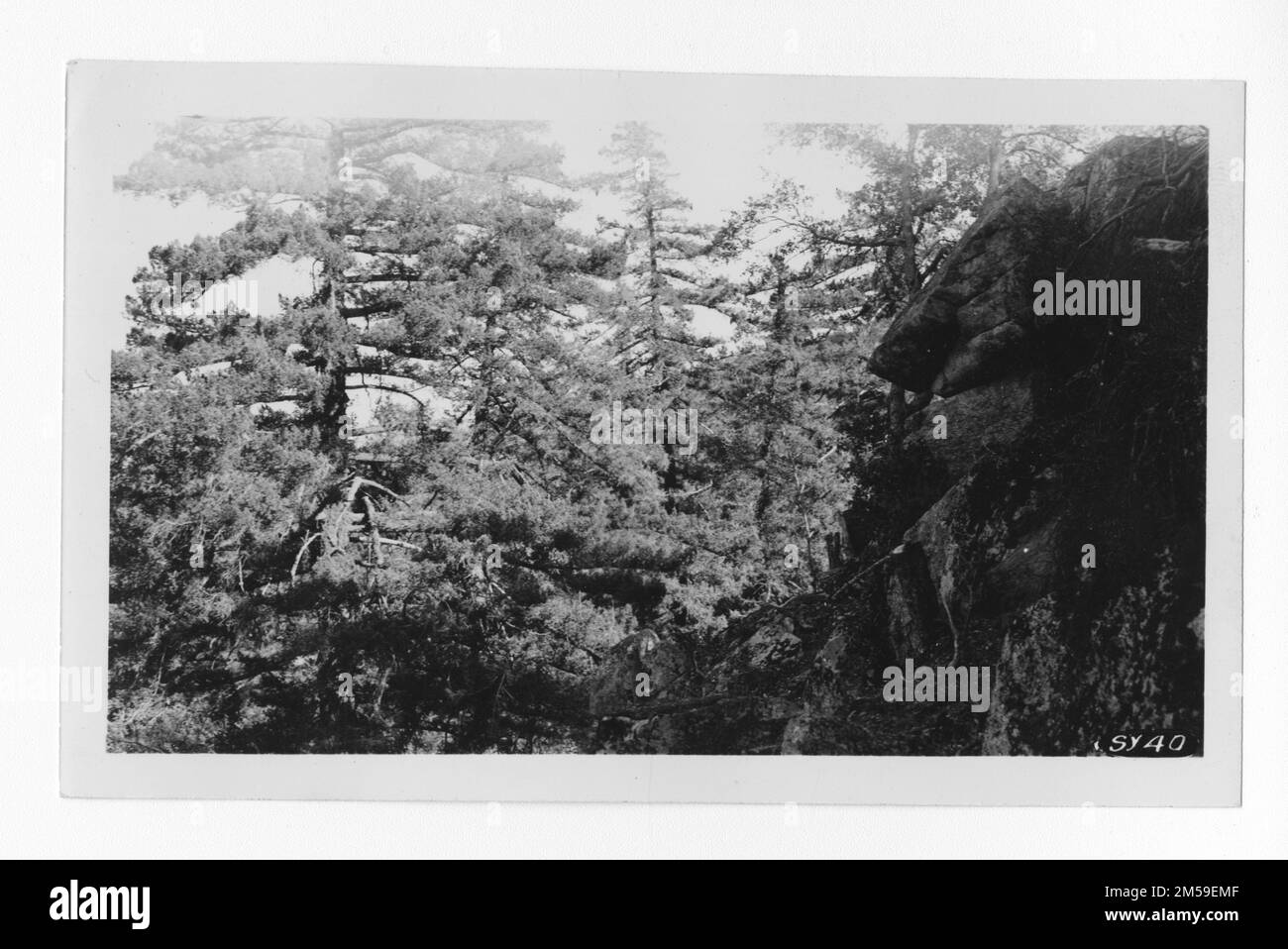 Santa ysabel reservation hi-res stock photography and images - Alamy