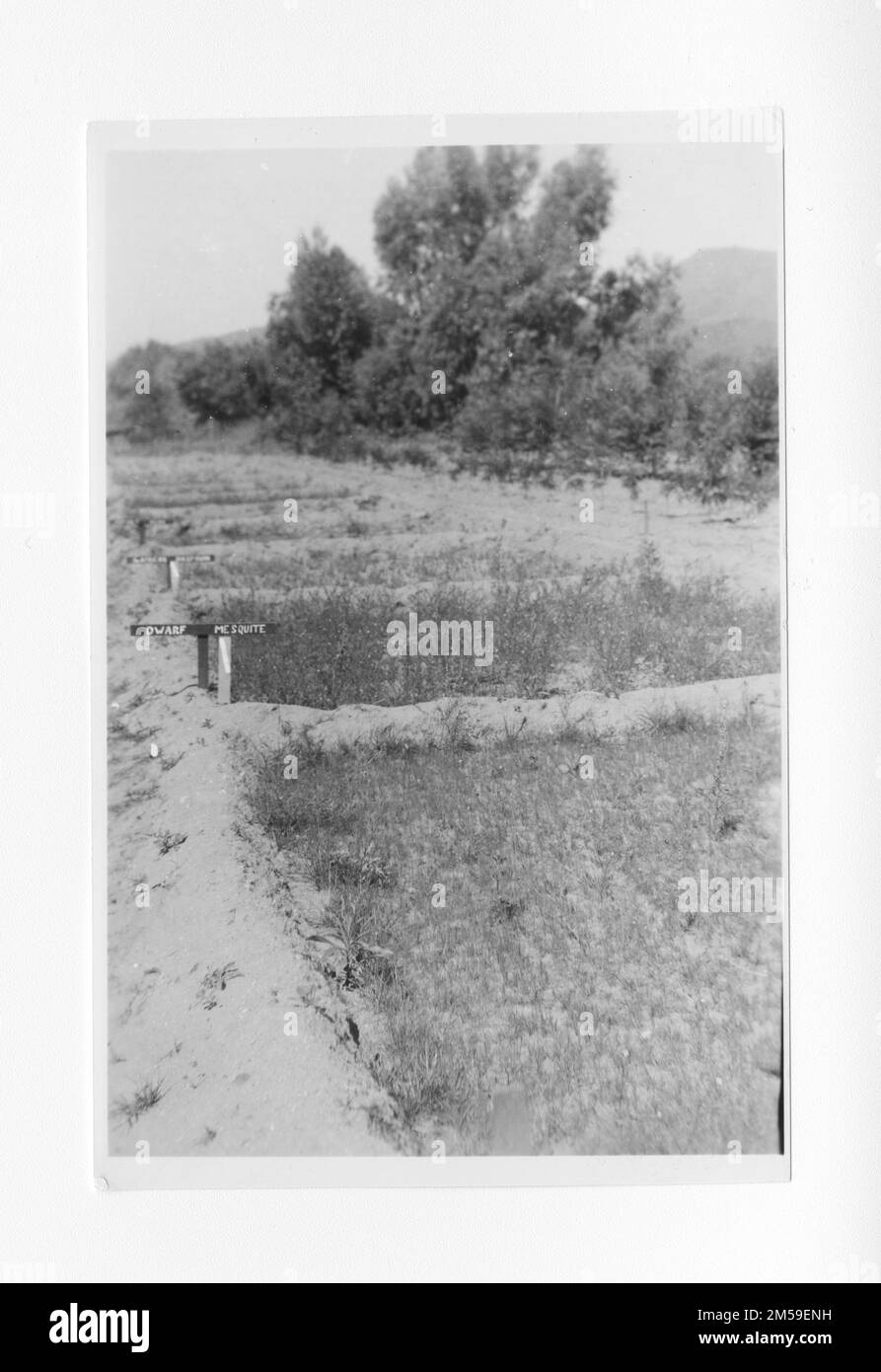 Id photographs hi-res stock photography and images - Alamy