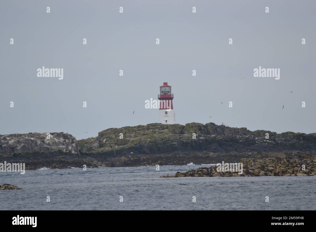 The longstone Lighthouse Farnew Islands Stock Photo - Alamy