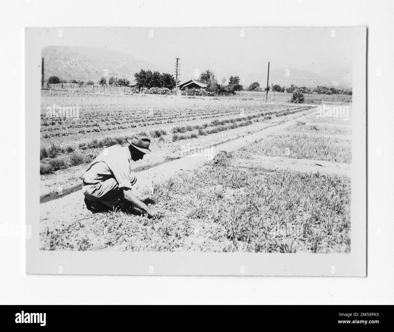 Indian farming methods Black and White Stock Photos & Images - Alamy