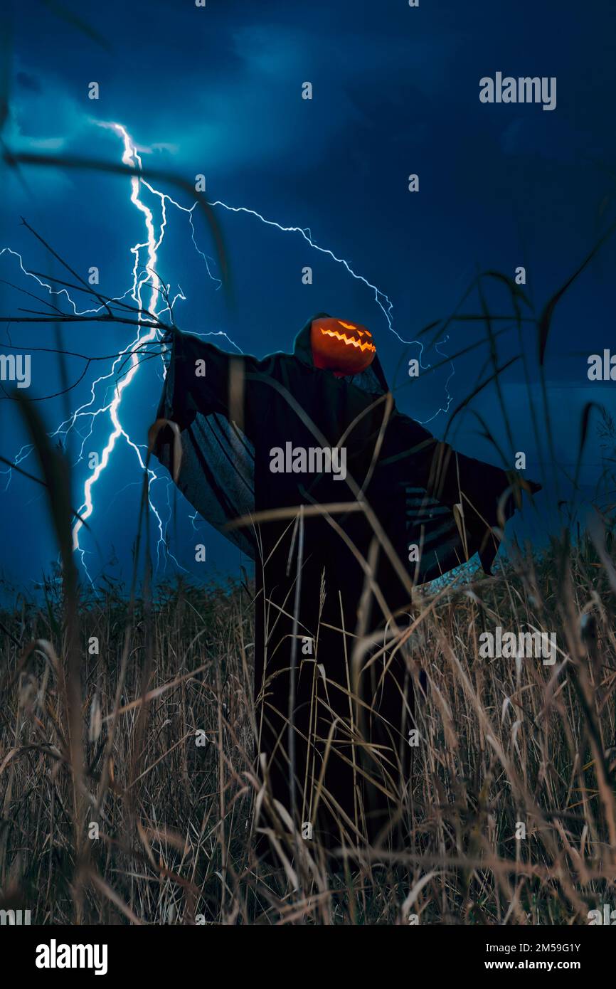 A scary scarecrow with a pumpkin head in a night corn field during a ...