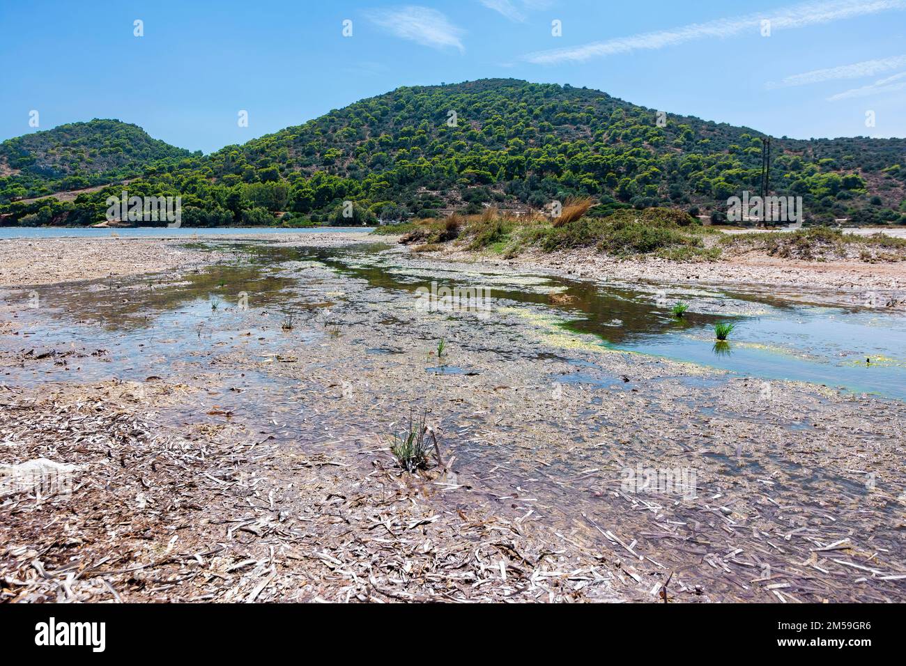 View of the famous wetland at Vravrona at Attica, Mesogeia, Greece ...