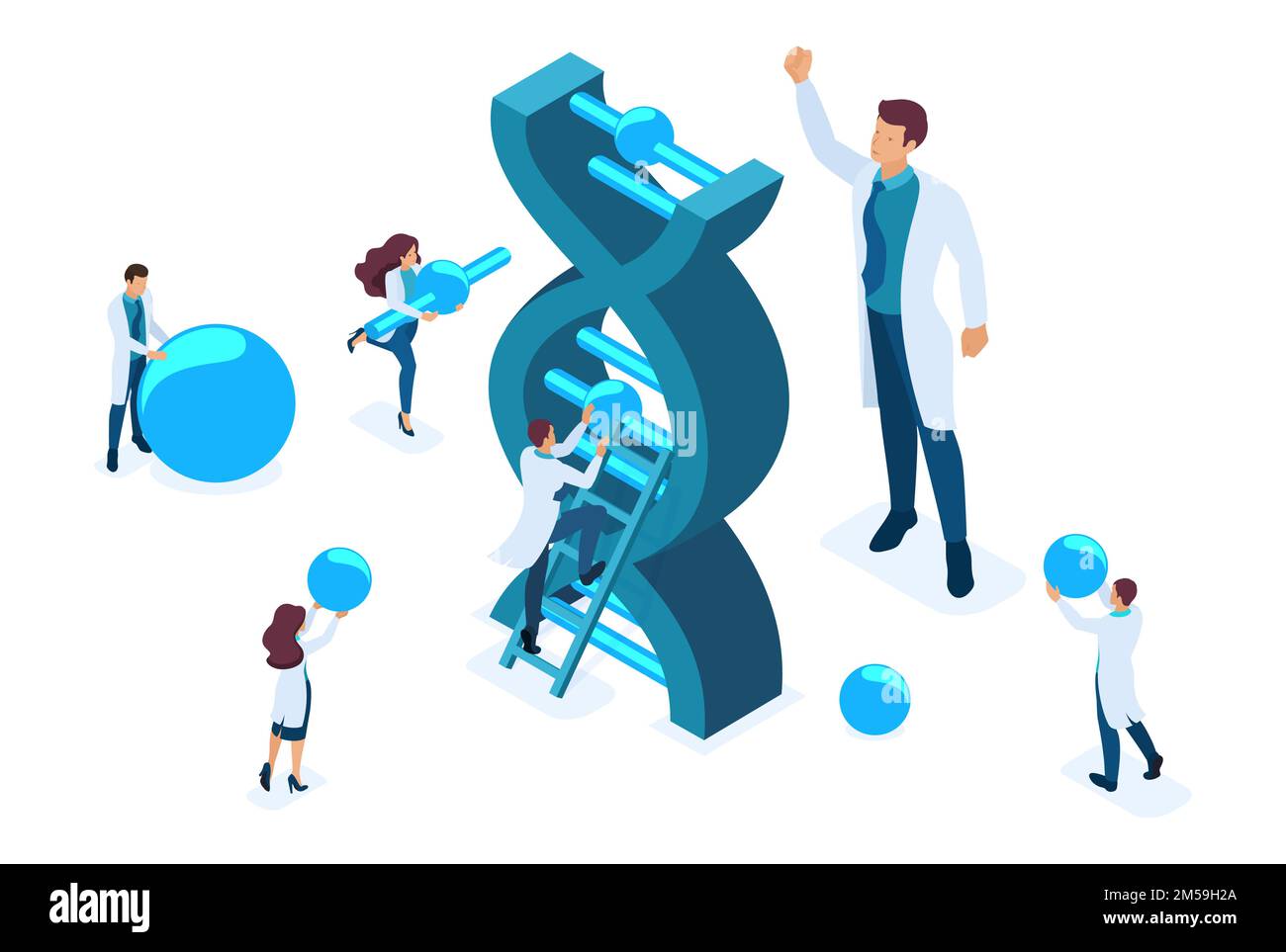 Isometric Scientists are investigating the structure of DNA, making experiments. Concept for web ...