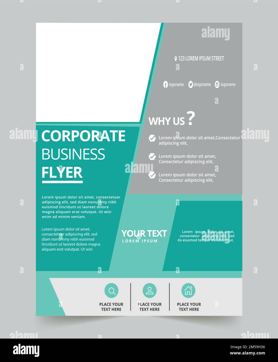 Professional business flyer design for business advertisement. Two ...