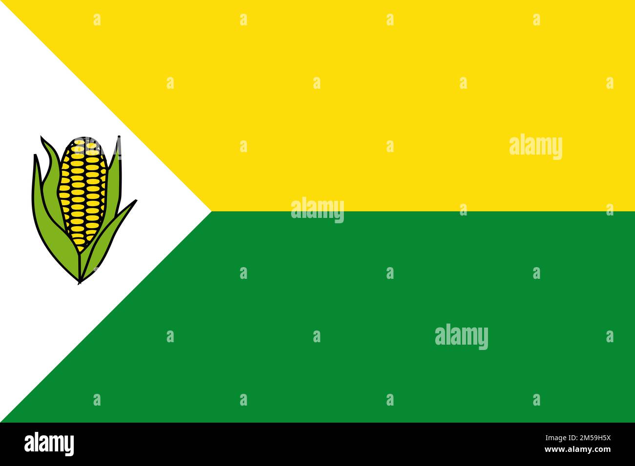 Top view of retro flag Pelaya, Cesar Colombia with grunge texture ...