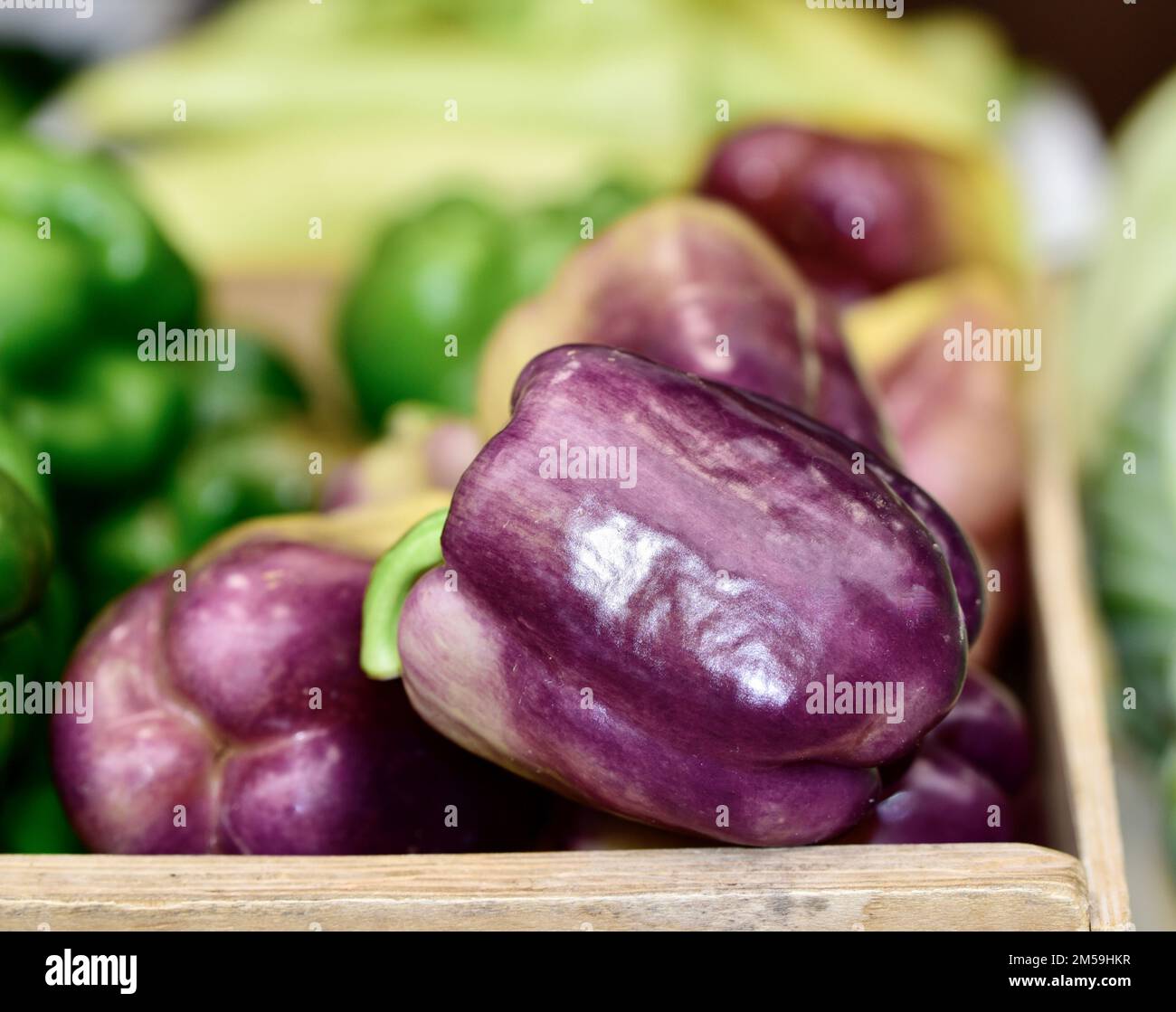 A closeup shot of a Lilac Royal Purple bell pepper Stock Photo - Alamy