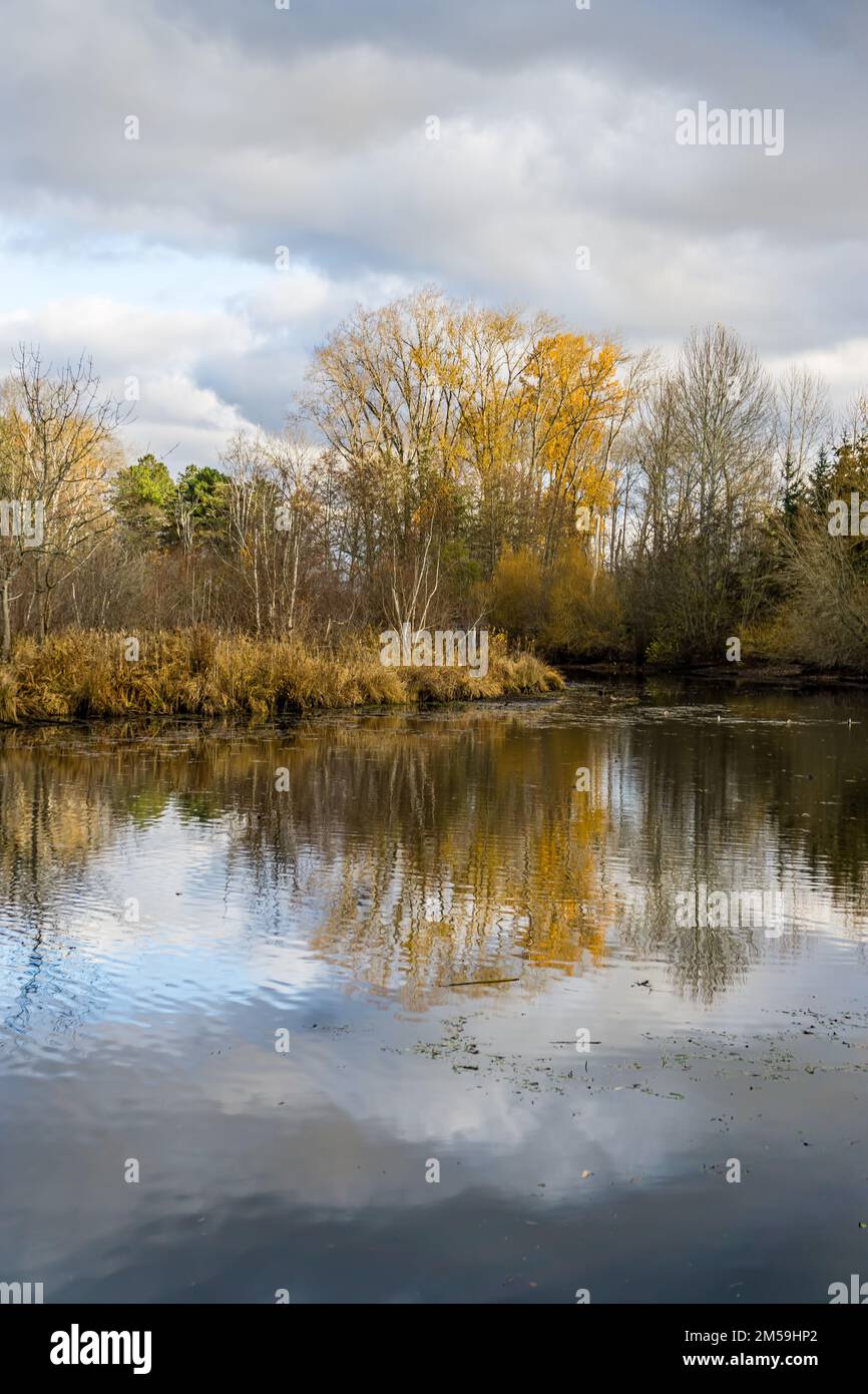 Water inlet at the Washington Park Arboretum in Seattle, Washington ...