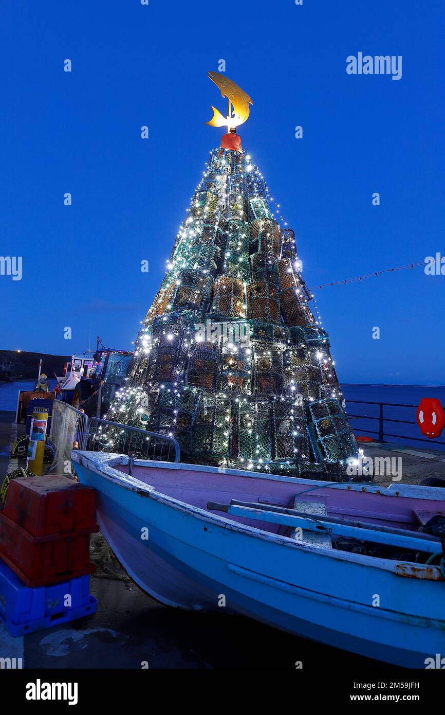 Fishtive tree hi-res stock photography and images - Alamy