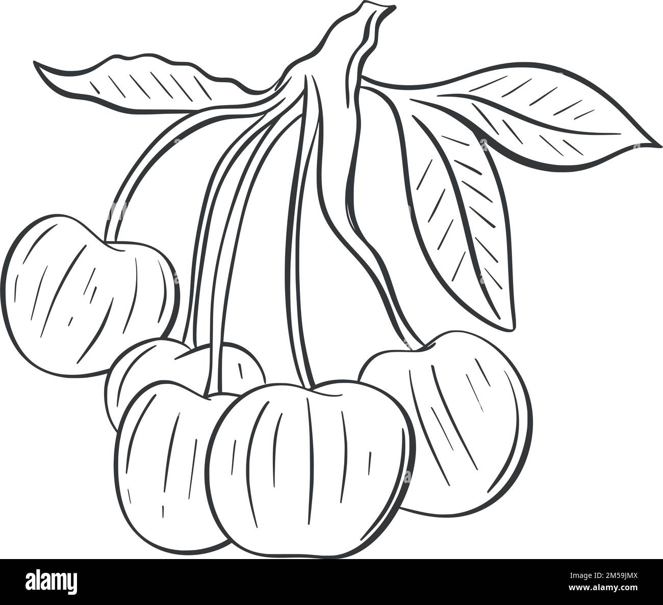 Cherry drawing art hi-res stock photography and images - Alamy