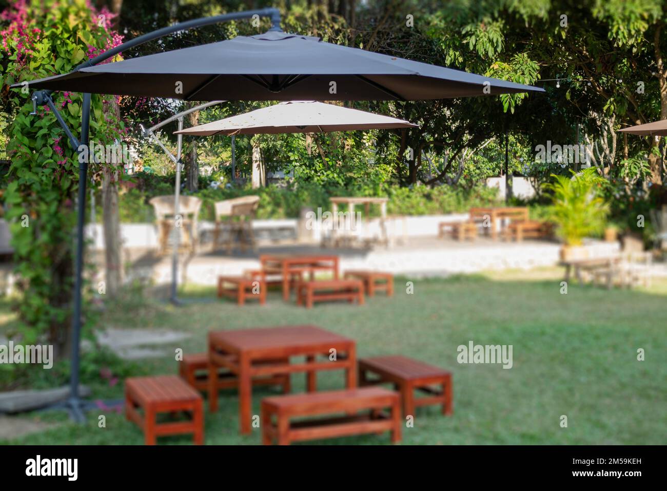 Outdoor seats in green garden, stock photo Stock Photo - Alamy