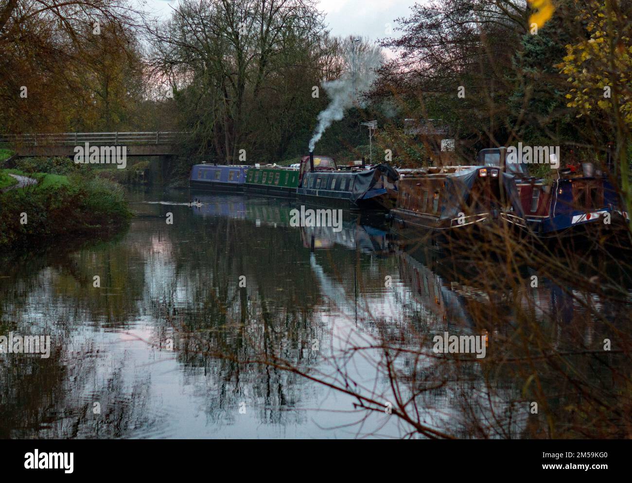 River stort cruise hi-res stock photography and images - Alamy