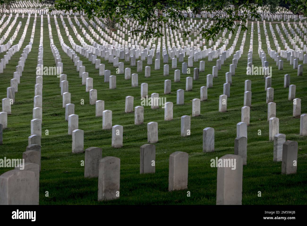 A perfectly organised white grave sites at the Arlington National ...