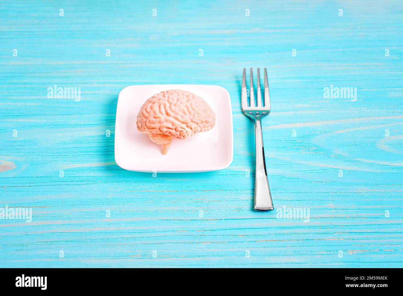 Brain-healthy dieting related concept: miniature human brain model on a ...