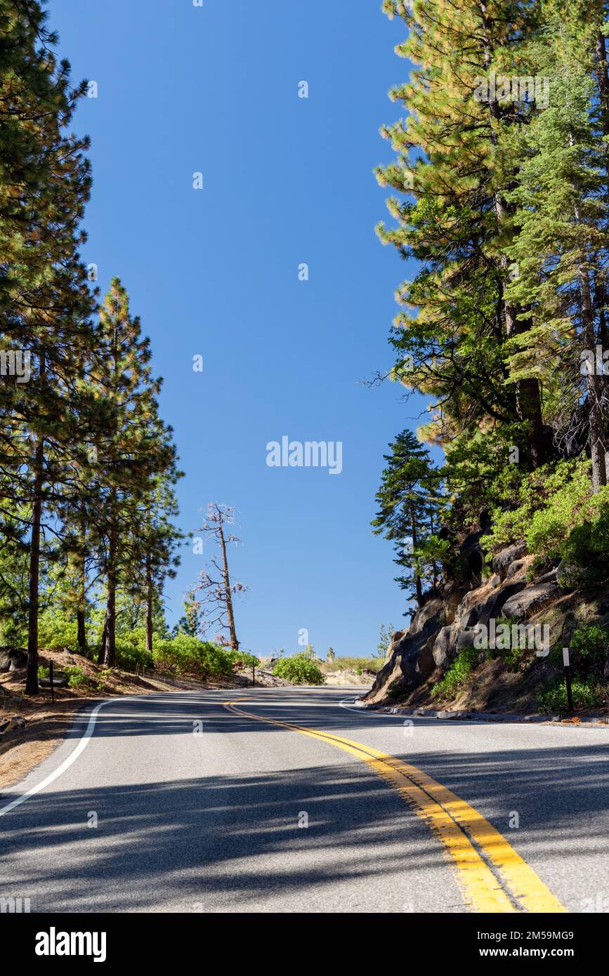 Asphalt curve road through forest. Yosemite national park, California ...